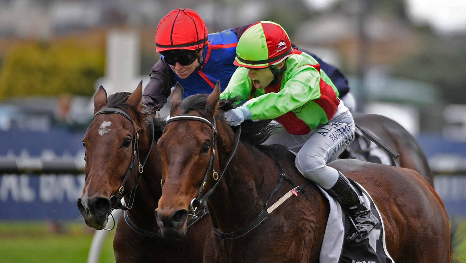 Ata Rangi resumes in style - Waikato Thoroughbred Racing