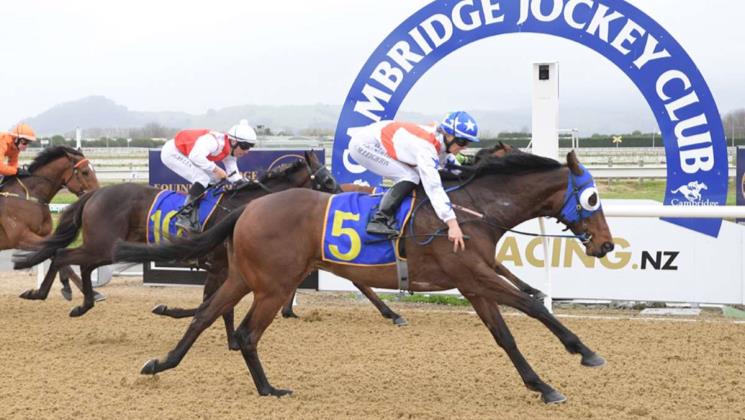 Monza looking for redemption at Cambridge - Waikato Thoroughbred Racing