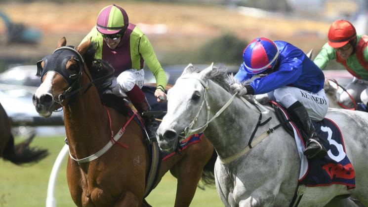 Nest Egg waiting on travelling partners to Riccarton - Waikato ...