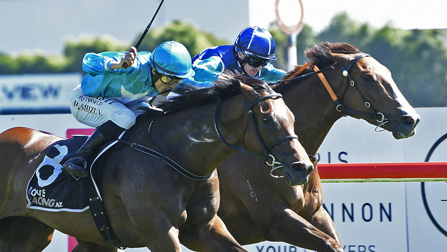 Sweynesday continues rapid rise - Waikato Thoroughbred Racing