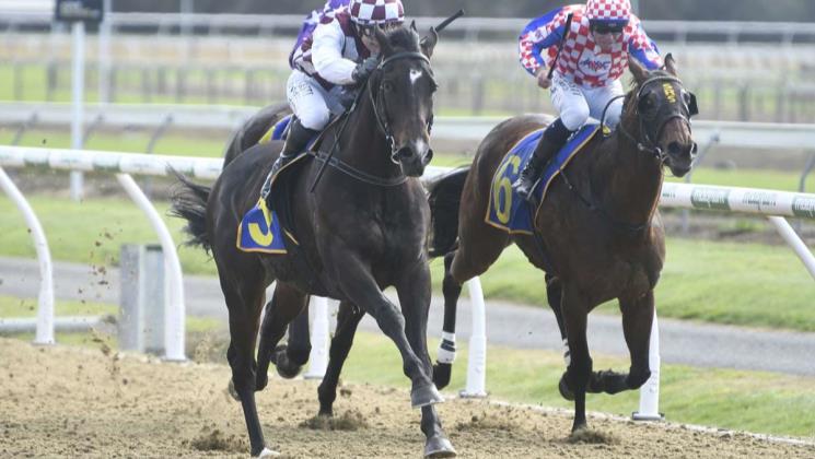 Foote focussed on Cambridge contest - Waikato Thoroughbred Racing
